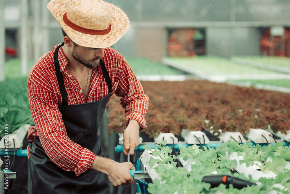 The hydroponic farm owner conducts technical inspection using handy ...