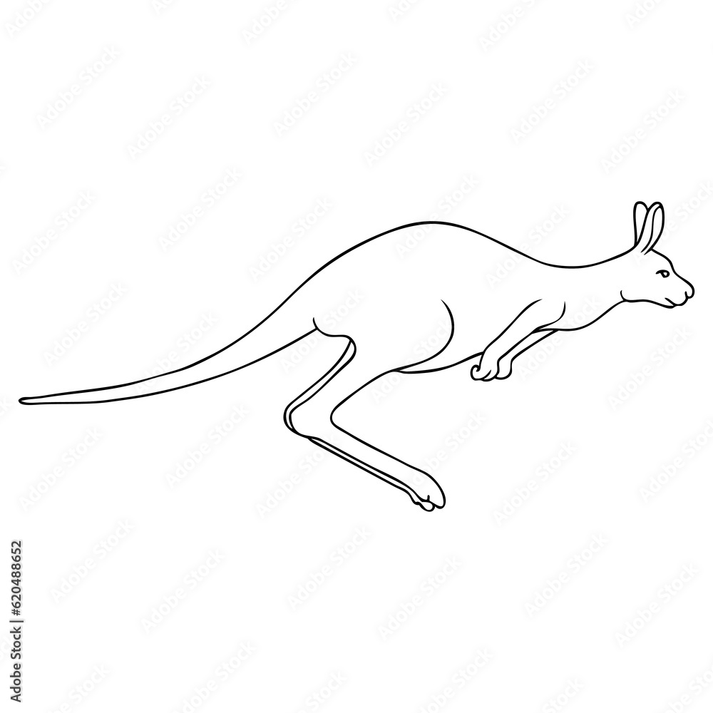 kangaroo outline vector illustration Stock Vector | Adobe Stock