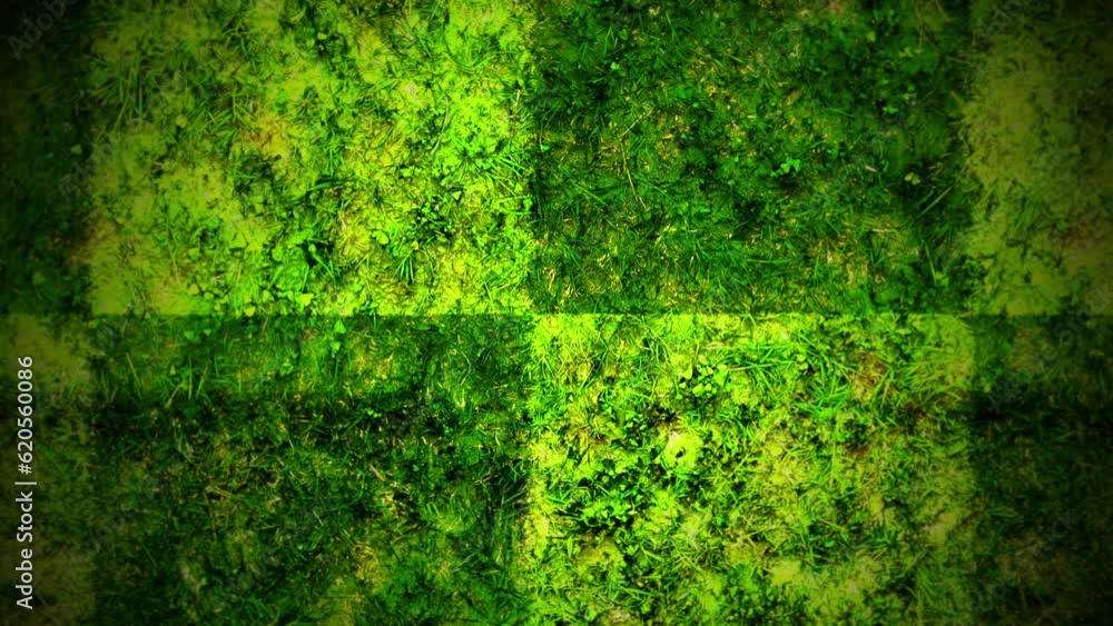 Green grass pattern in sunset time, motion abstract cinematic, summer ...