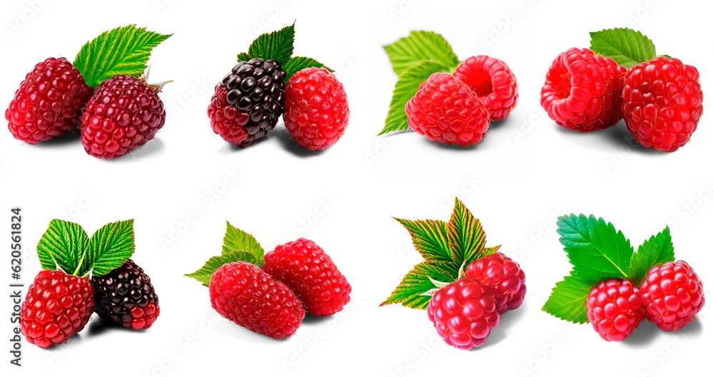 Raspberry collection isolated on transparent background (Loganberry ...