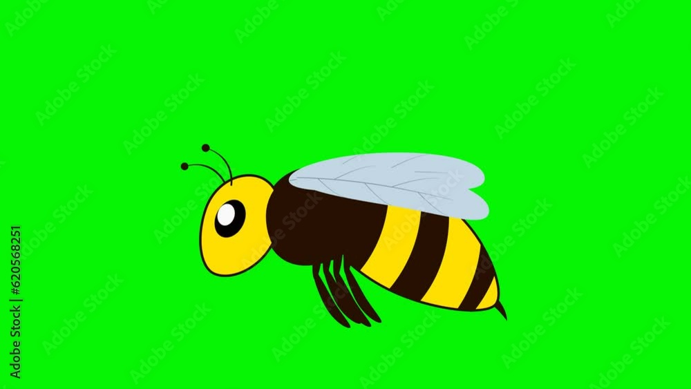 bee animation flying loop on green screen background. Motion graphics ...