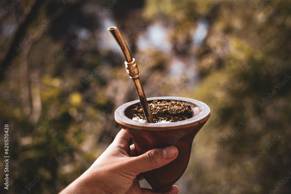 mano sosteniendo mate de porongo con yerba y bombilla. bebida caliente ...