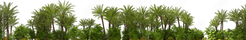 tropical palm tree tree line horizontally seamless hq arch viz cutout ...