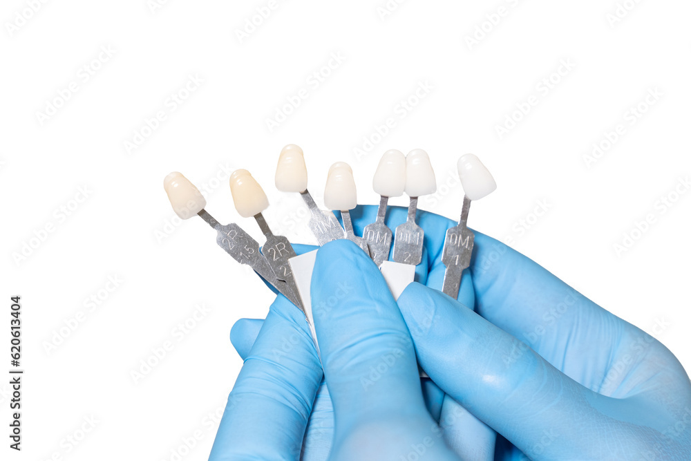 Doctor hands in medical sterile gloves hold shade guide bleach color ...