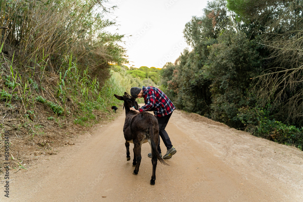 back view of Man taking donkey for a walk in nature Stock Photo | Adobe ...