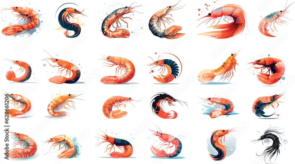 Vector set of Shrimps collection hand drawing on a white background ...