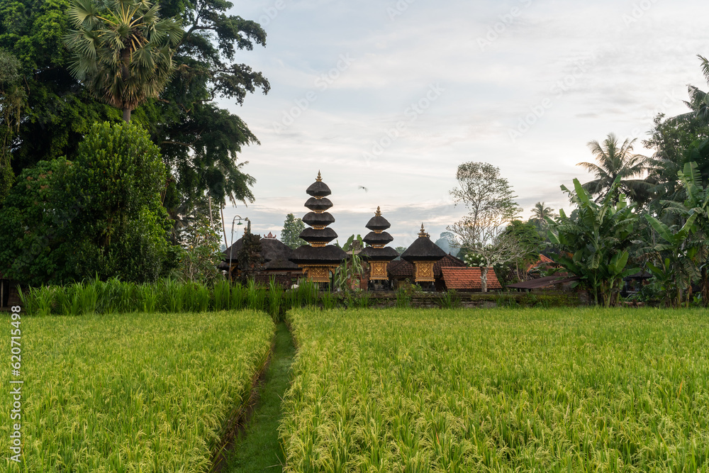 Path Through The Rice Plantation To Temple In Bali Stock Photo | Adobe ...