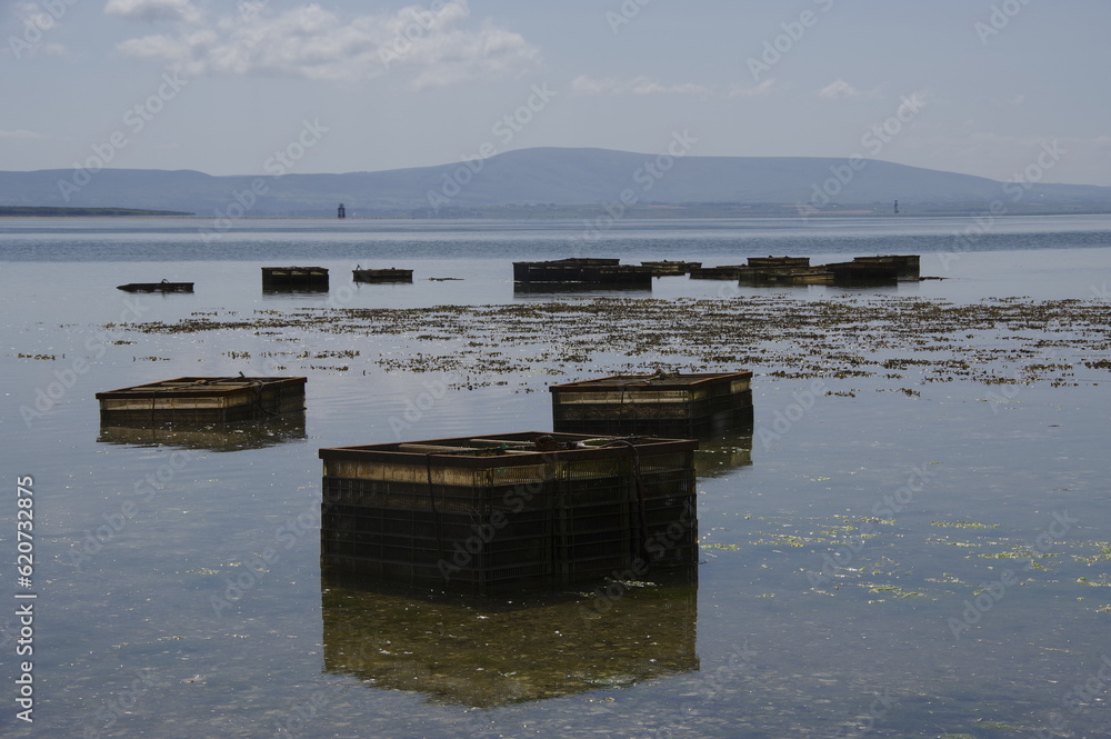 Oyster Farming pots in Sligo Bay, Blackrock Lighthouse in background ...