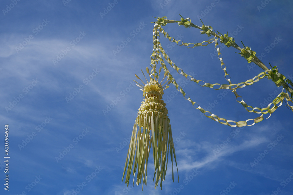 a traditional artwork from Indonesia made from young yellow coconut ...