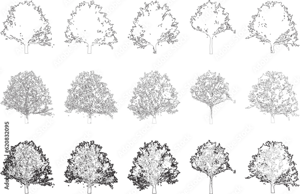 Tree elevation line silhouettes - oak tree Stock Vector | Adobe Stock