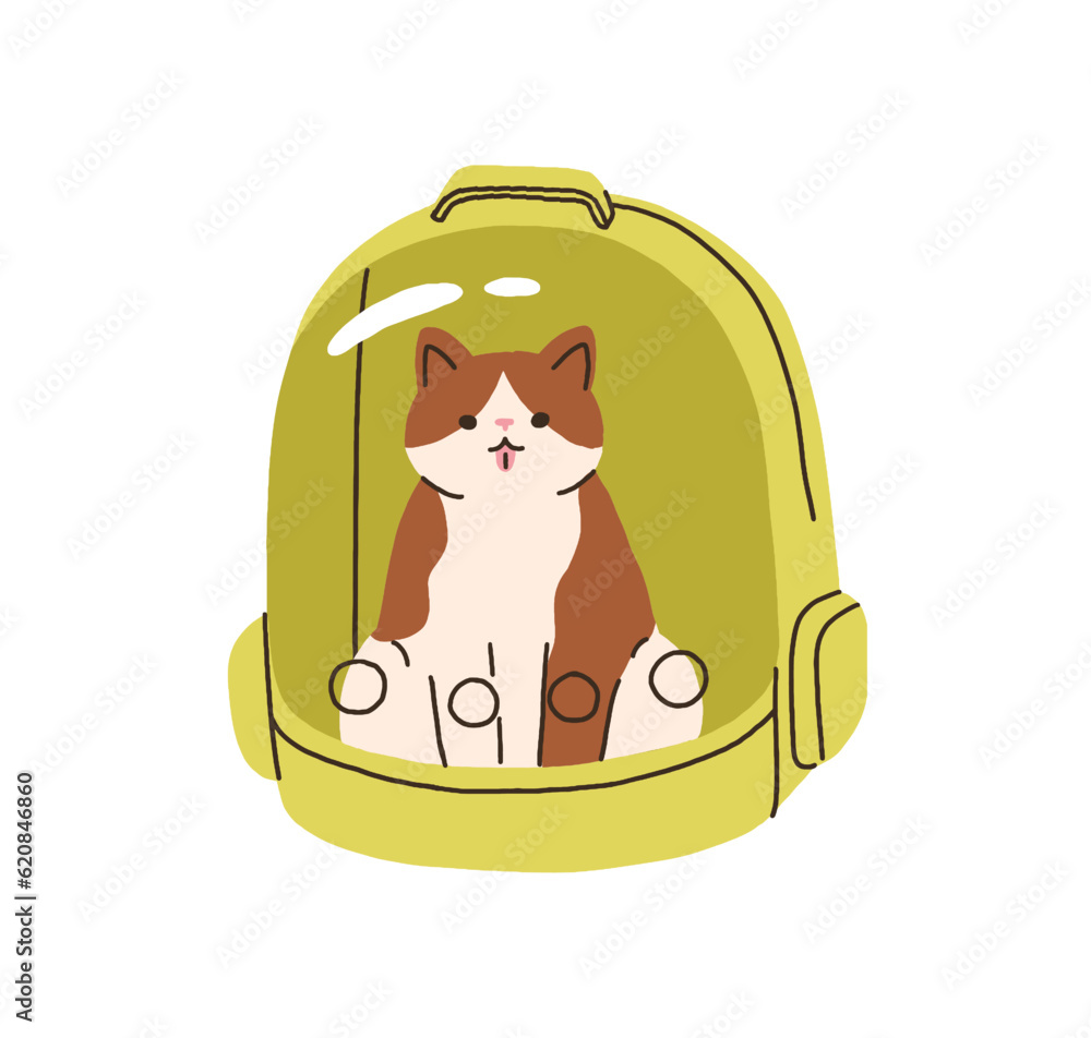 Cute funny cat sitting inside backpack, feline animal carrier with ...