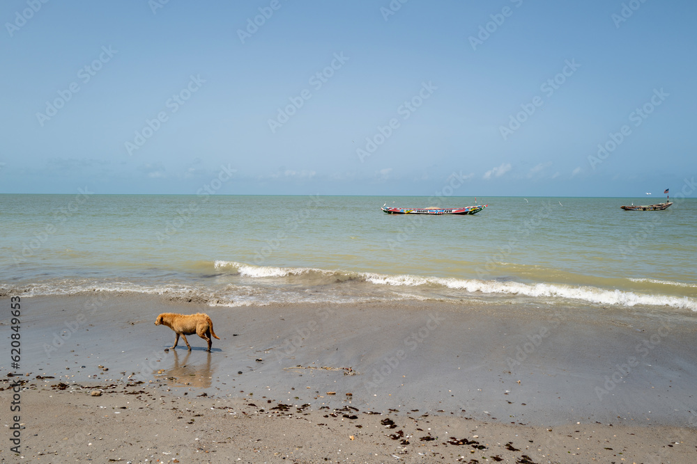 une plage avec un chien dans un village du Sénégal en Afrique ...