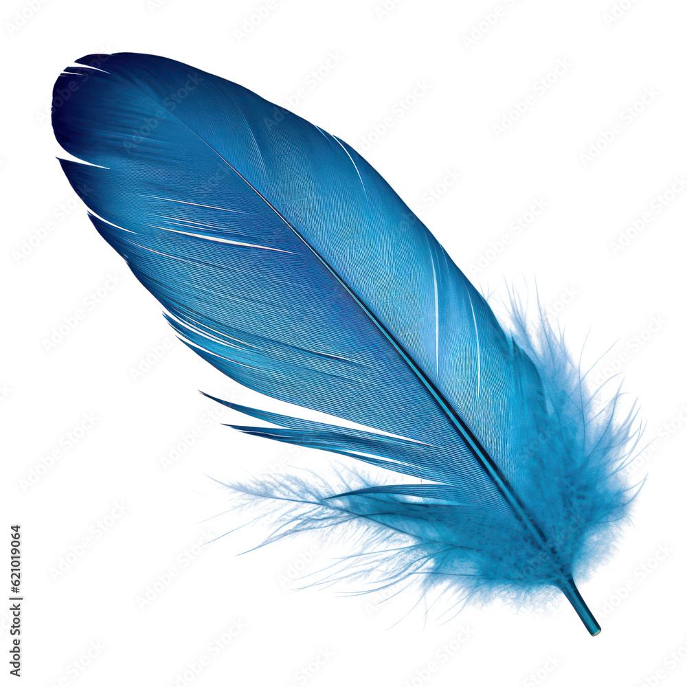 blue feather isolated on transparent background cutout Stock ...