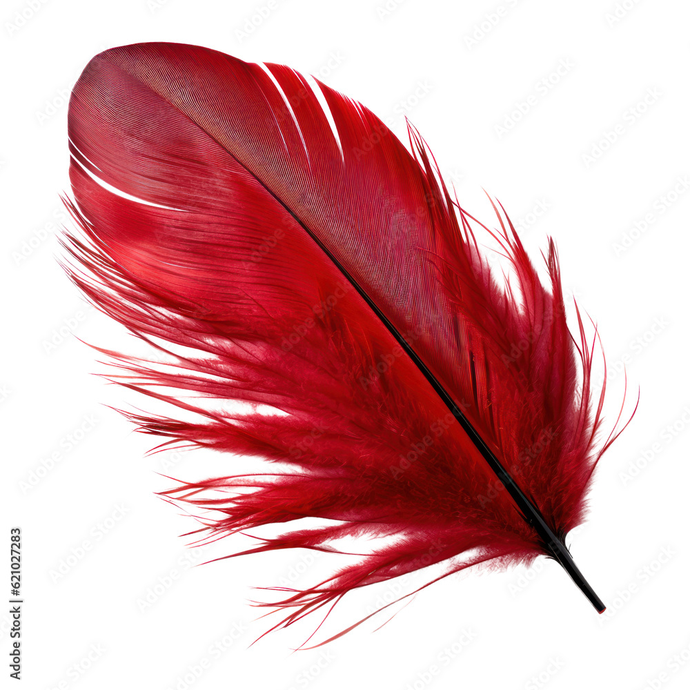 red feather isolated on transparent background cutout Stock ...