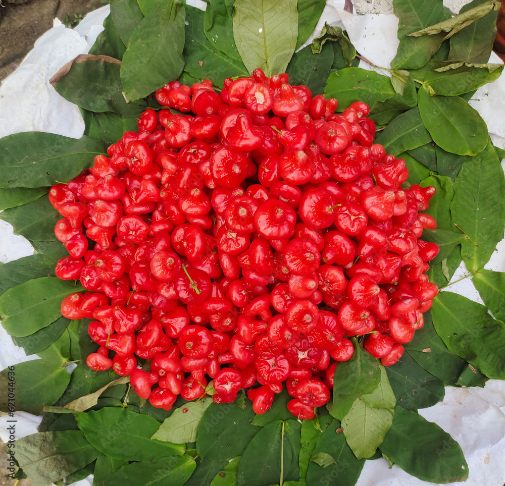 Behold the exquisite display of Jamrul - a vibrant stack of freshly ...