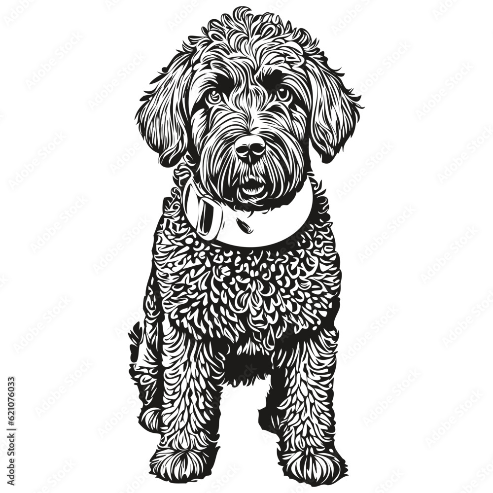 Portuguese Water dog engraved vector portrait, face cartoon vintage ...