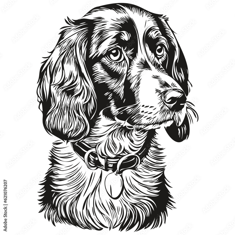 Spaniel English Cocker dog head line drawing vector,hand drawn ...