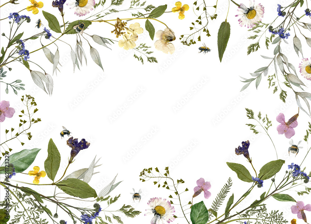 Watercolor wildflowers template isolated on white background. Hand ...