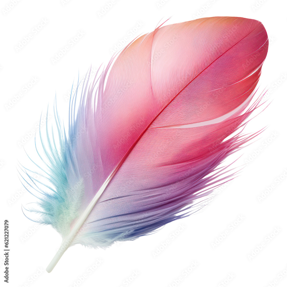 pastel feathers isolated on transparent background cutout Stock ...