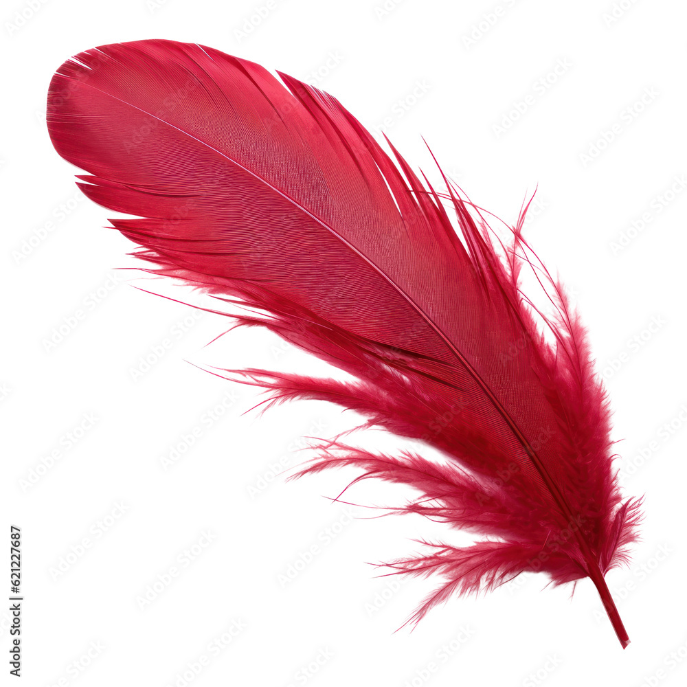 red feather isolated on transparent background cutout Stock Photo ...