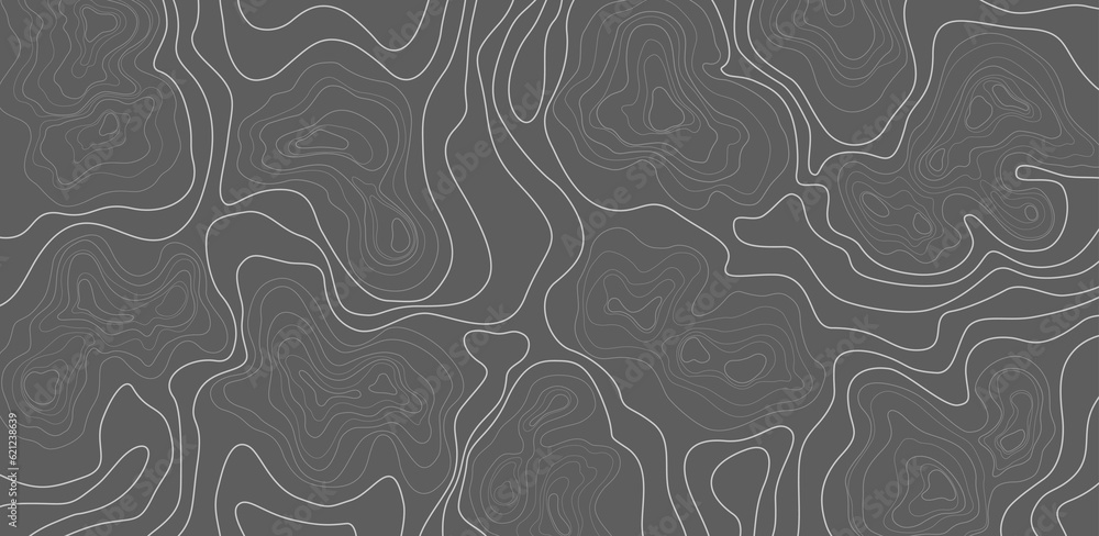 Stylized height texture map. Contour topographic. Isolines height lines ...