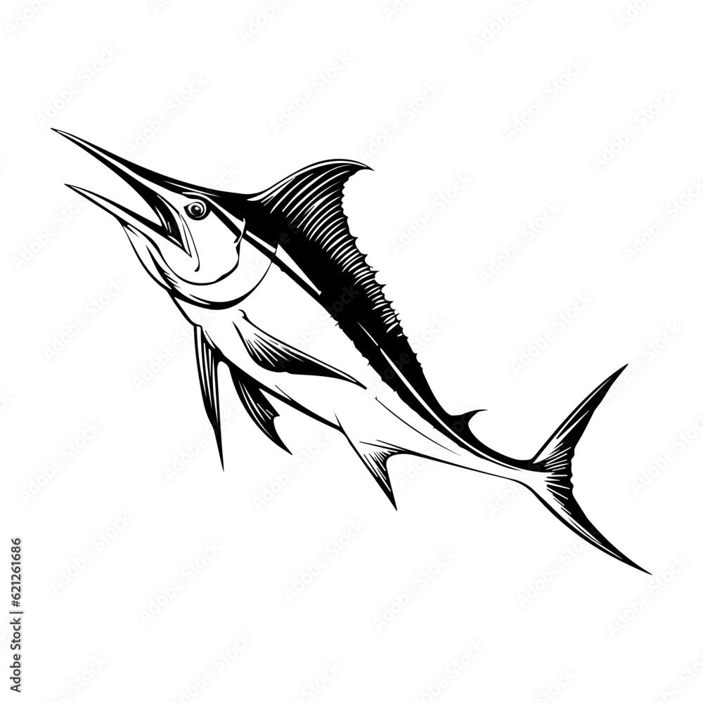 Marlin fish vector illustration, isolated on white background. Stock ...