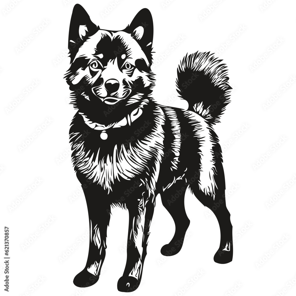Vetor de Schipperke dog breed line drawing, clip art animal hand ...