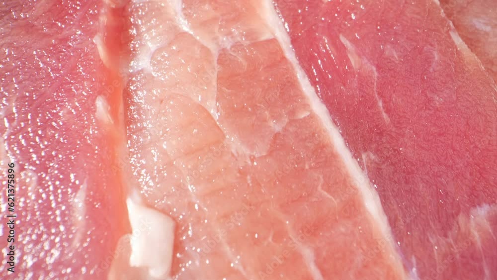 Macro video of raw pork belly slice with a probe lens reveals intricate ...