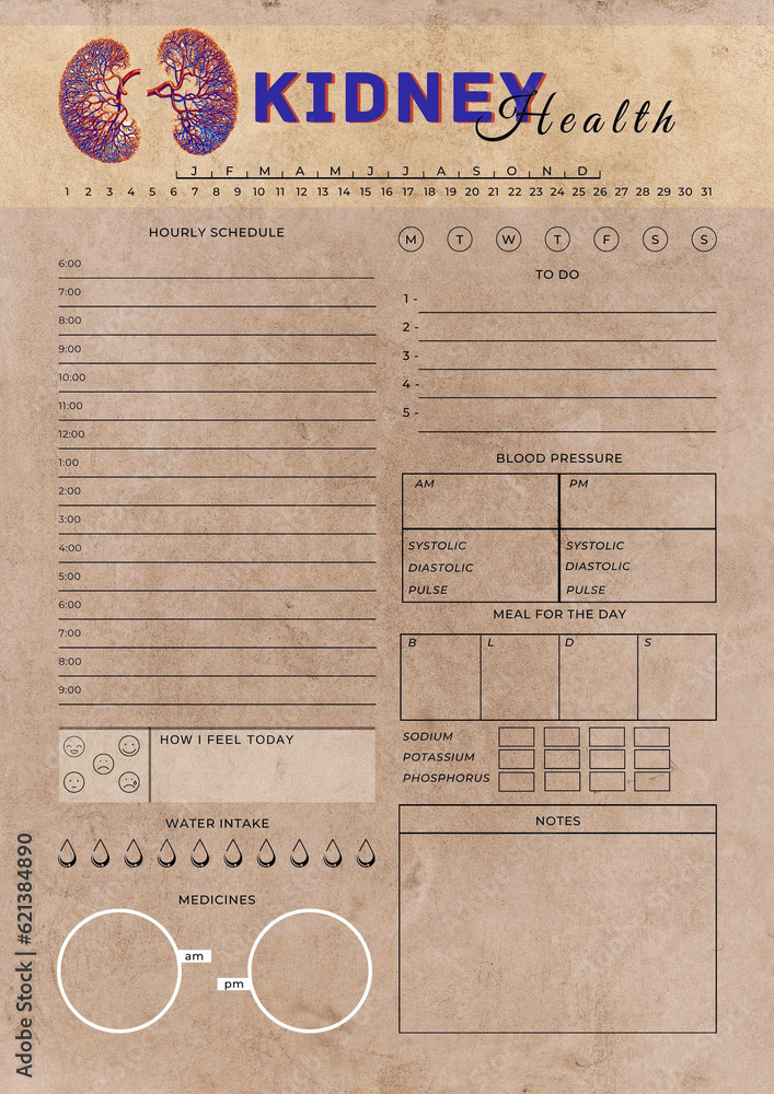 Kidney tracker digital planning insert sheet printable page template ...