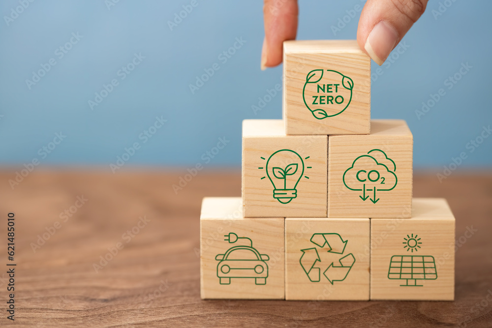 Conceptual Image of Green Growth Strategy Through Achieving Carbon ...