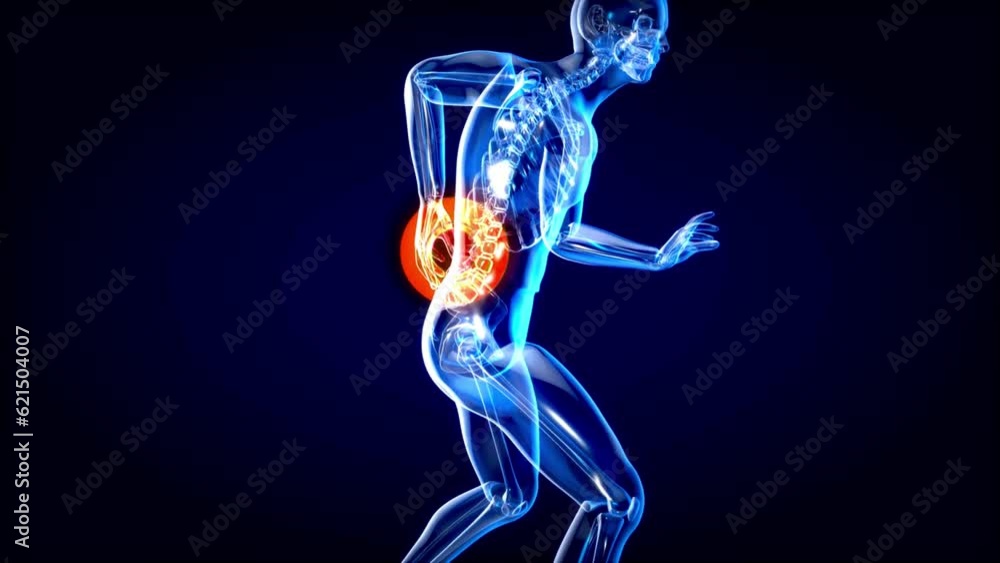 Back Pain spinal spine close-up animation Anatomy Body 3D Scan render ...