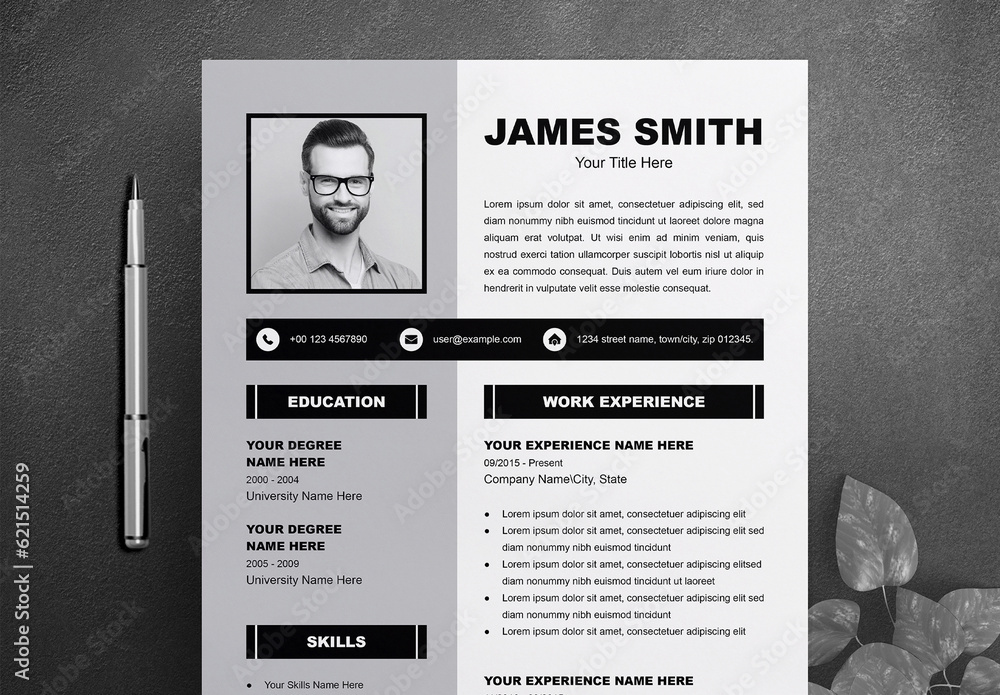 Eye-Catching Resume Design Stock Template | Adobe Stock