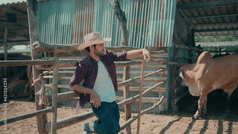 Agriculture Business: Farmer Working in a Green Field, Feeding Cows for ...