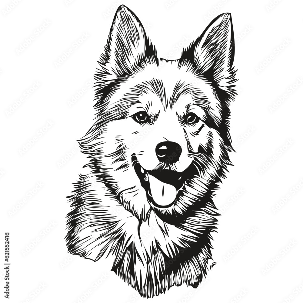 Vetor do Stock: American Eskimo dog pet silhouette, animal line ...