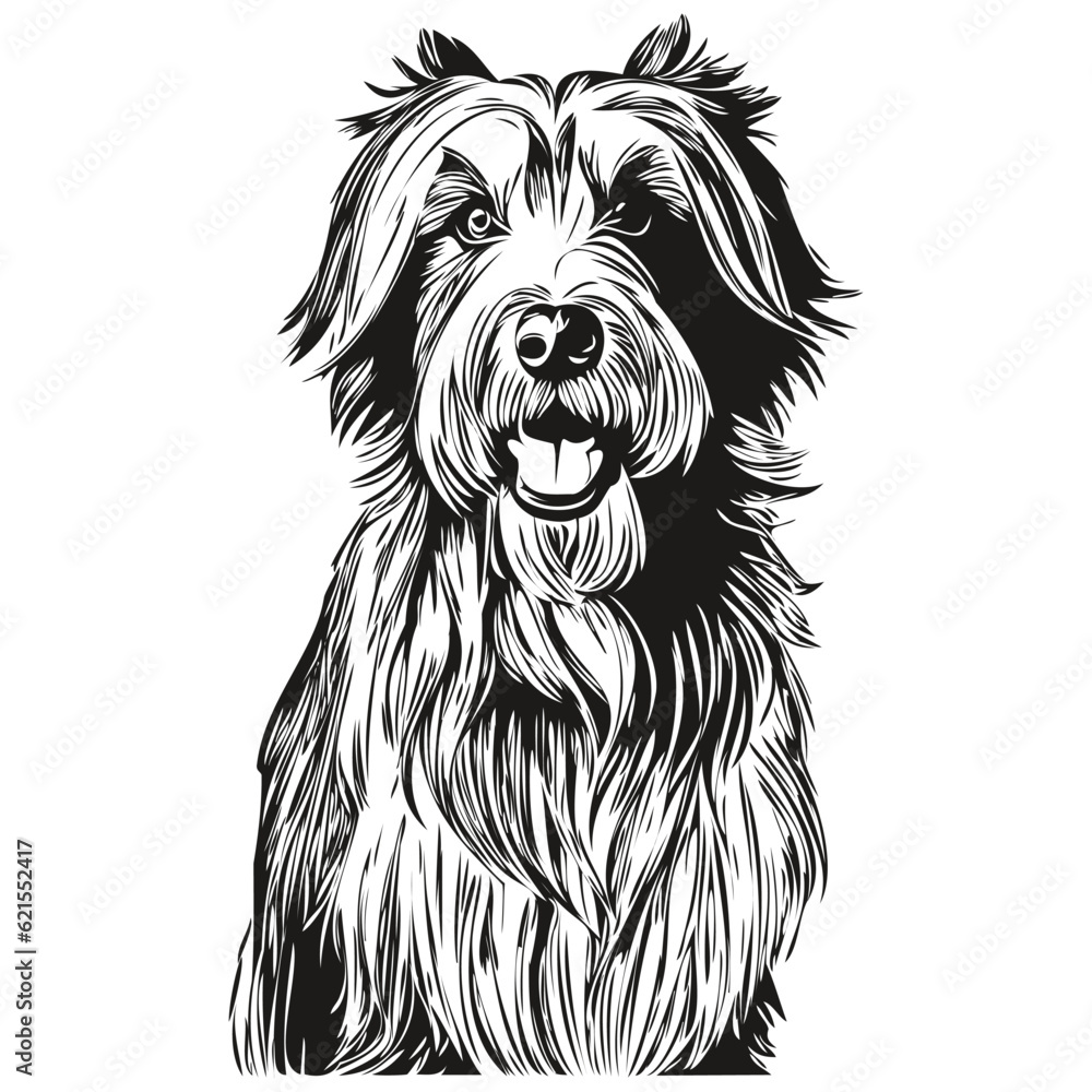 Bearded Collie dog logo vector black and white, vintage cute dog head ...