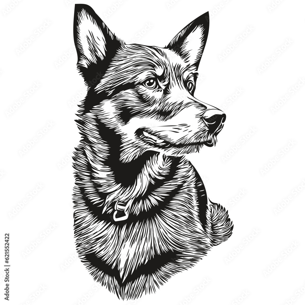 Beauceron dog pencil hand drawing vector, outline illustration pet face ...