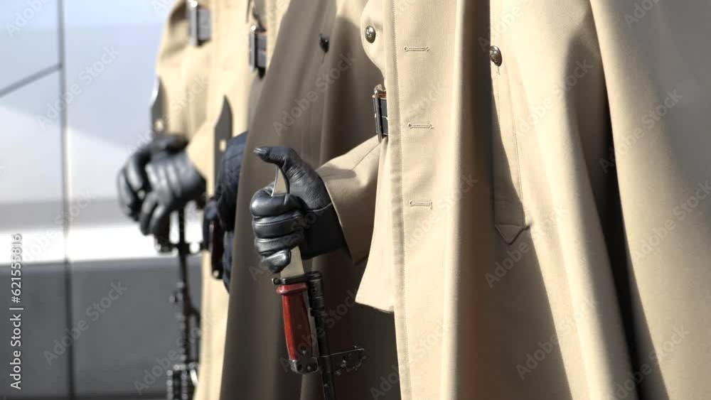 Poland, anonymous professional Polish army soldiers standing in a row ...