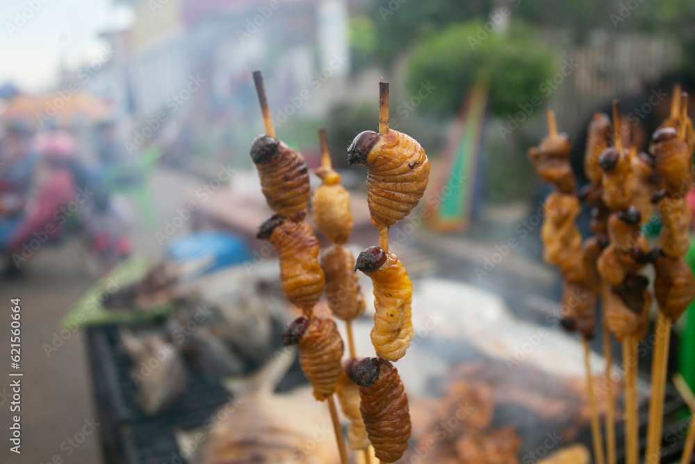 Suri, or chontacuro, edible larva of the Amazon beetle known as the ...