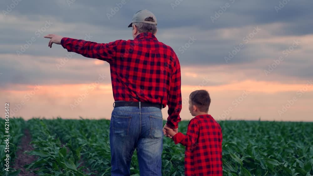 Farmer father working in green cornfield with child, son. Happy family ...