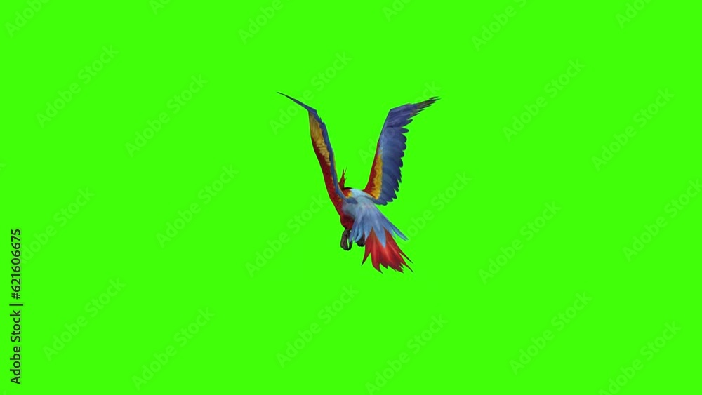 3D realistic 360-degree rotation of a Red and green macaw parrot flying ...