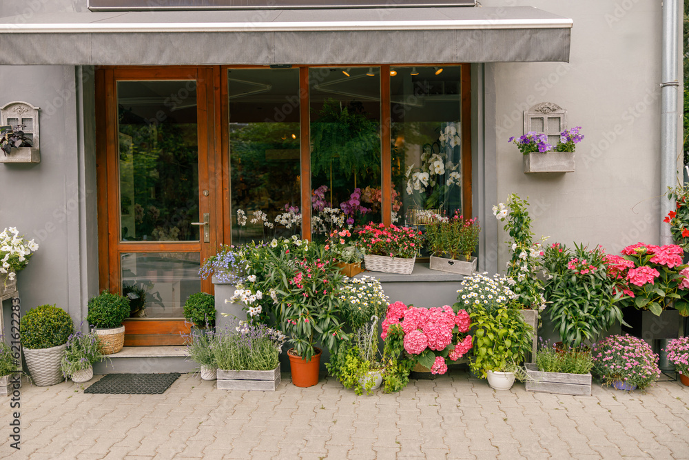 Facade of beautiful flower shop with different housplants and flowers ...