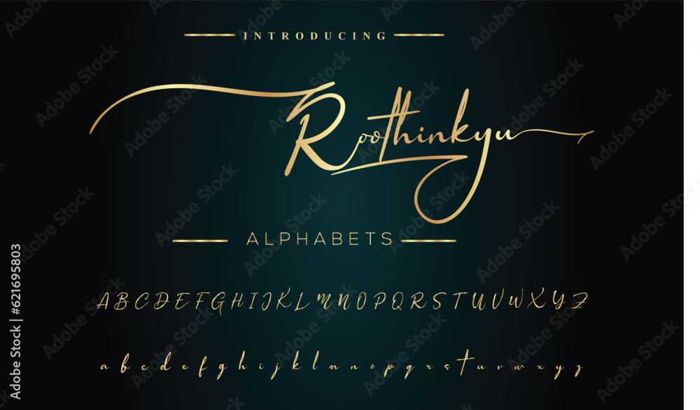 Hand drawn vector alphabet. Script font. Isolated letters written with ...