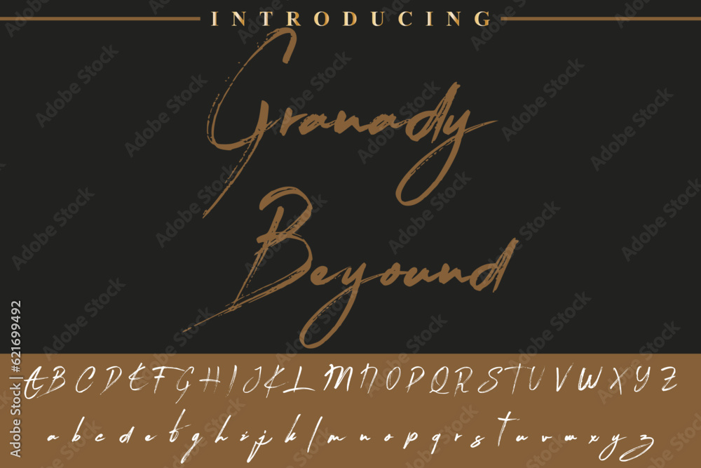 Hand Drawn Vector Alphabet Script Font Isolated Letters Written With Marker Ink Calligraphy