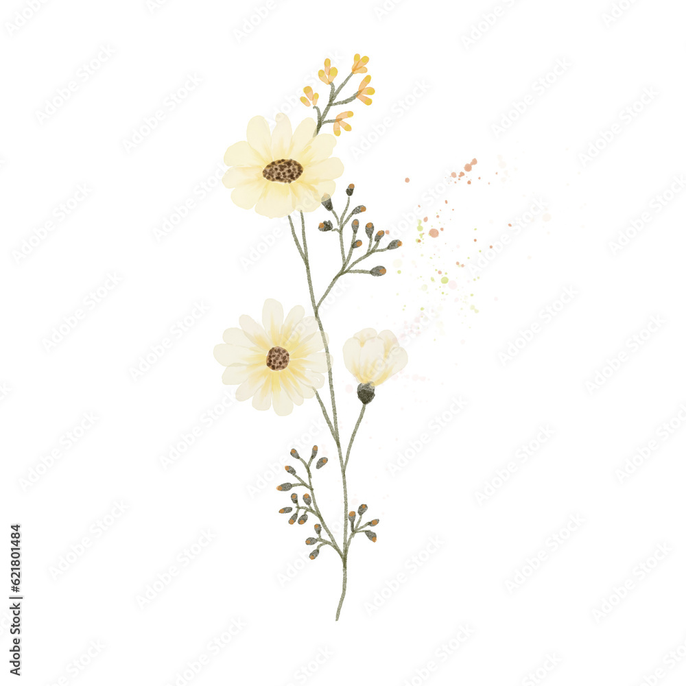 beautiful flower watercolor transparent background created with ...