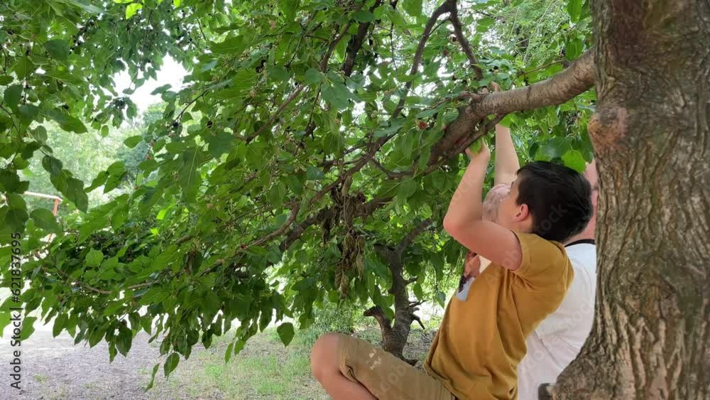 Man and his child in the garden. Boy sitting on the thread of the tree ...