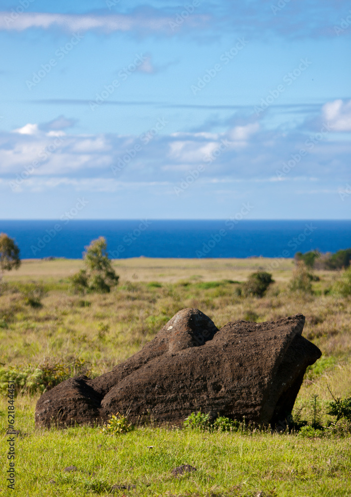 Moai Head Lying On The Ground In Rano Raraku, Easter Island, Chile ...
