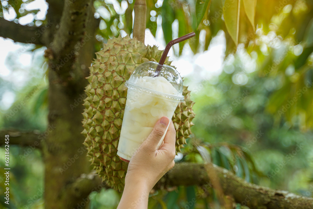 Durian smoothie on durian tree background, smoothie menu drink with ...