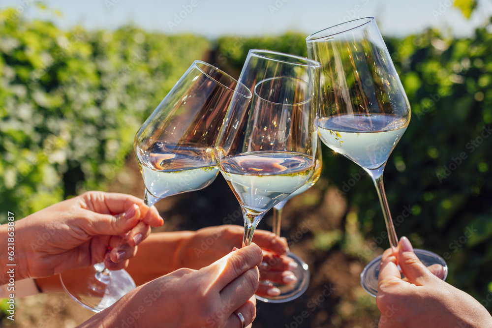 Making a celebratory toast with sparkling wine. Female hands holding ...