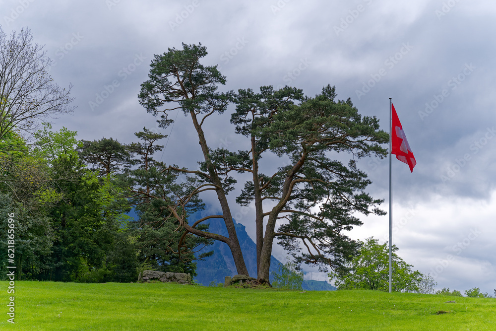 Famous Rütli meadow where the foundation of historic Switzerland took ...