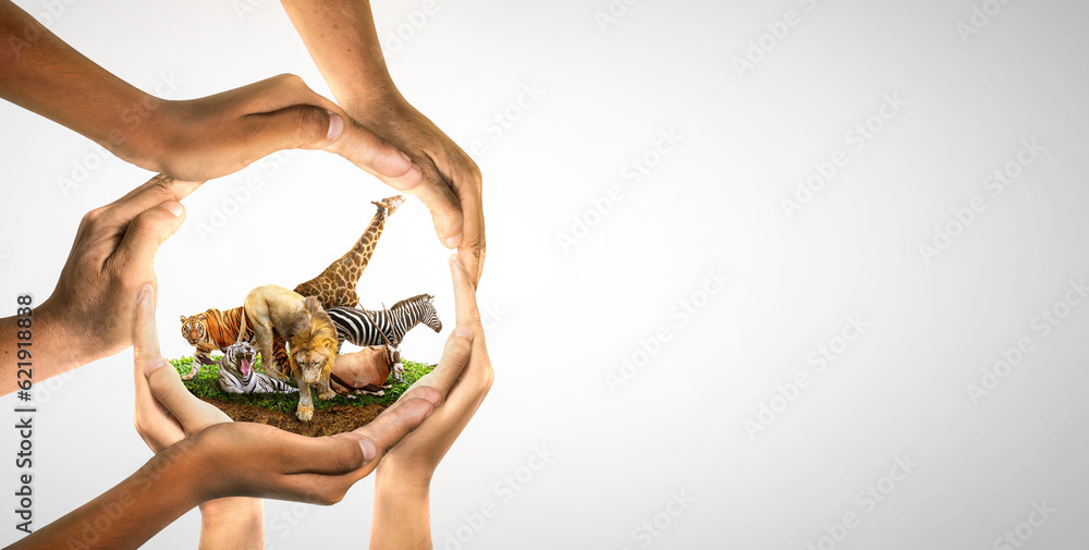 Wildlife Conservation Day. wildlife protection, multiracial human come ...